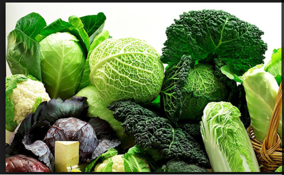 Metodyki Integrowanej Produkcji Roślin - PIORiN